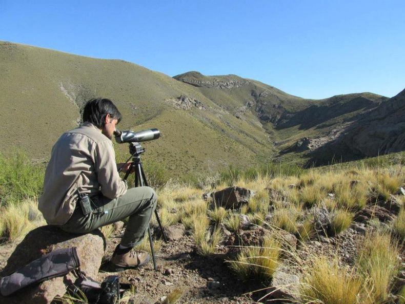 Día del Guardaparque Nacional: por qué se celebra hoy, 9 de octubre