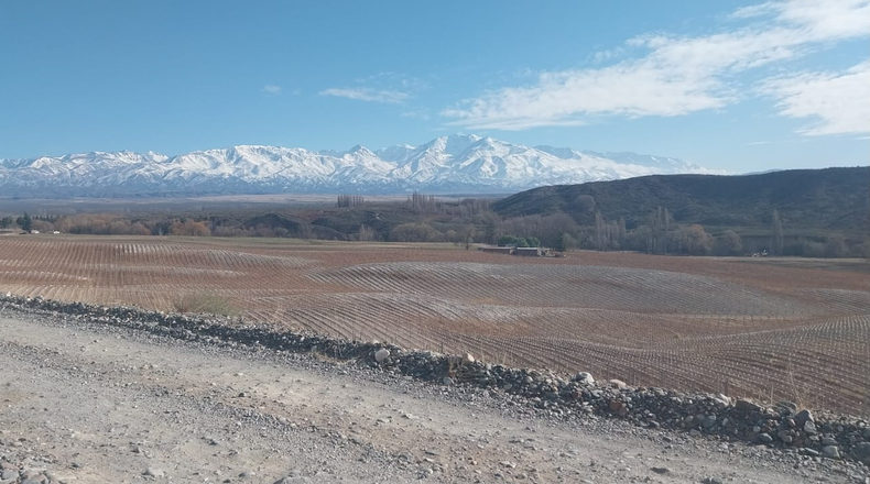 Heladas negras: de qué se trata el fenómeno que se está registrando con ...