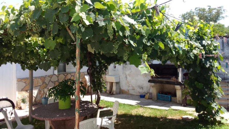 Cómo diseñar un jardín con parras: belleza y utilidad regional