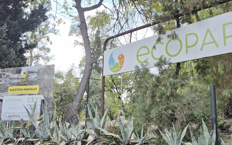 Ecoparque de Mendoza abre sus puertas: qué podrán ver y hacer los ...