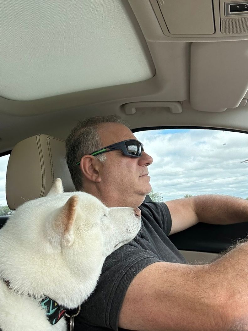 Cinco perros serán testigos del amor de sus dueños en San Rafael: la ...