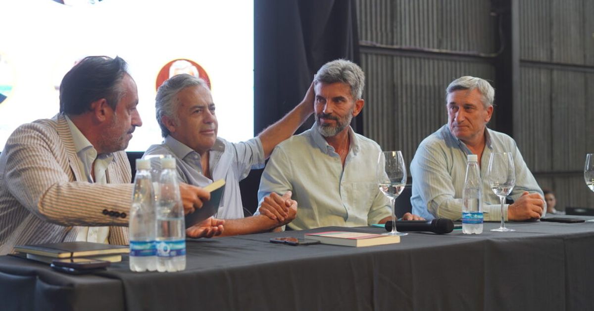 Cornejo se mostró junto al desarrollismo y hubo palos para De Marchi