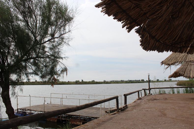 Laguna del Viboron: un humedal en Mendoza que está seco