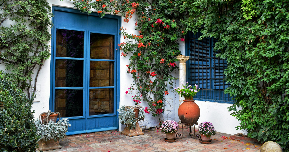 Jardinería: las mejores plantas trepadoras para balcones y jardines