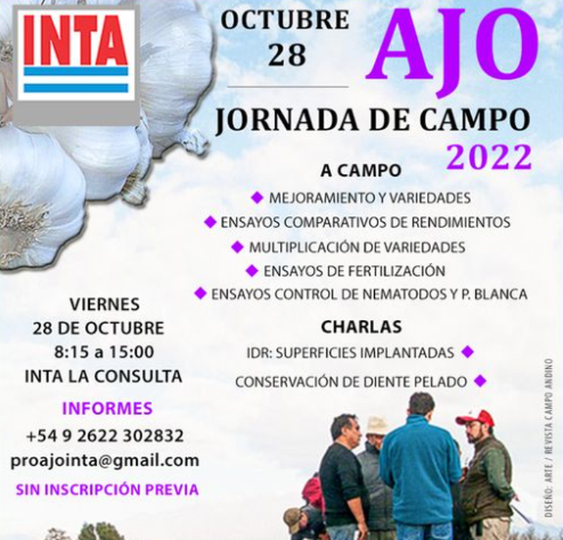 INTA La Consulta realizará la jornada de campo Ajo 2022