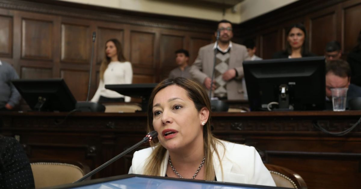 Adriana Cano en Aconcagua Radio: Las ración diaria pasa a costar $13.500 por interno