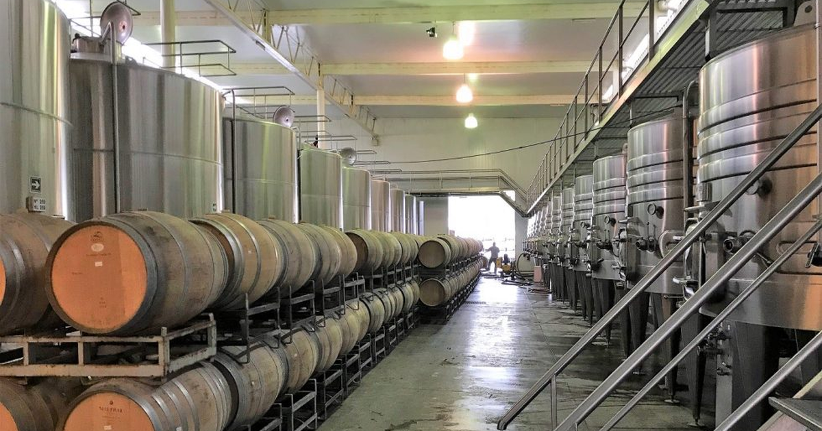 COVIAR: entidades del sector vitivinícola de toda Argentina defienden ...