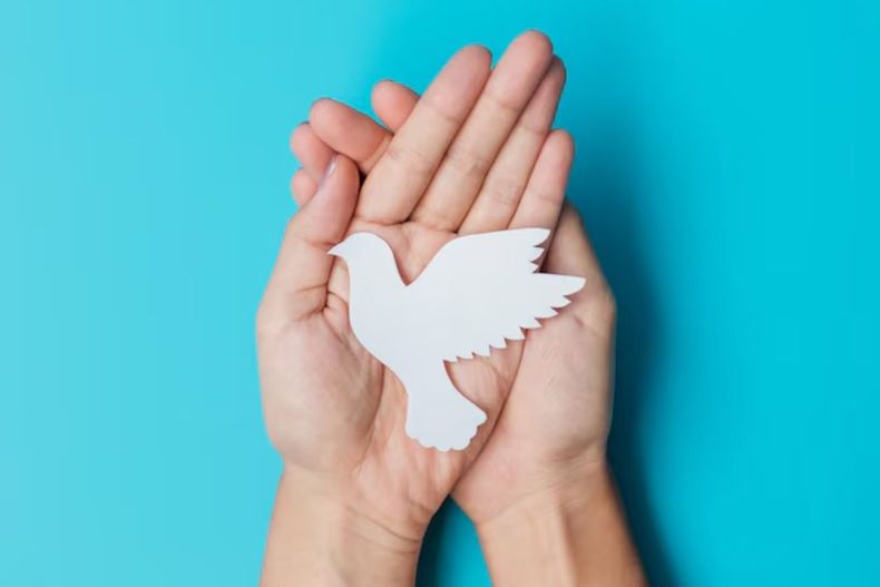 ¿Por qué se conmemora el Día Internacional de la No Violencia el 2 de ...