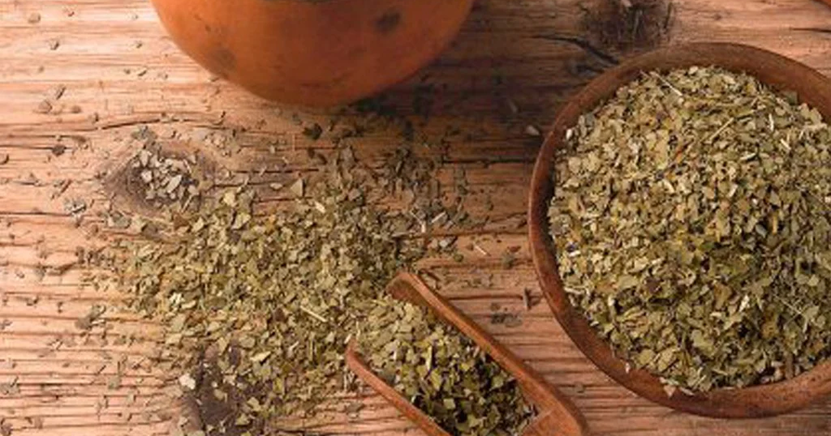 Yerba orgánica, crece el consumo más allá de la moda