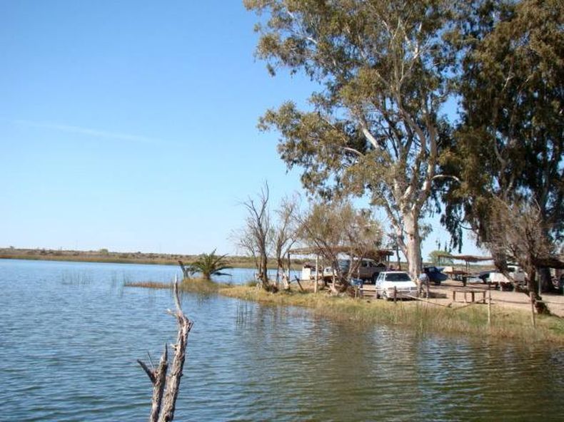 Laguna del Viboron: un humedal en Mendoza que está seco