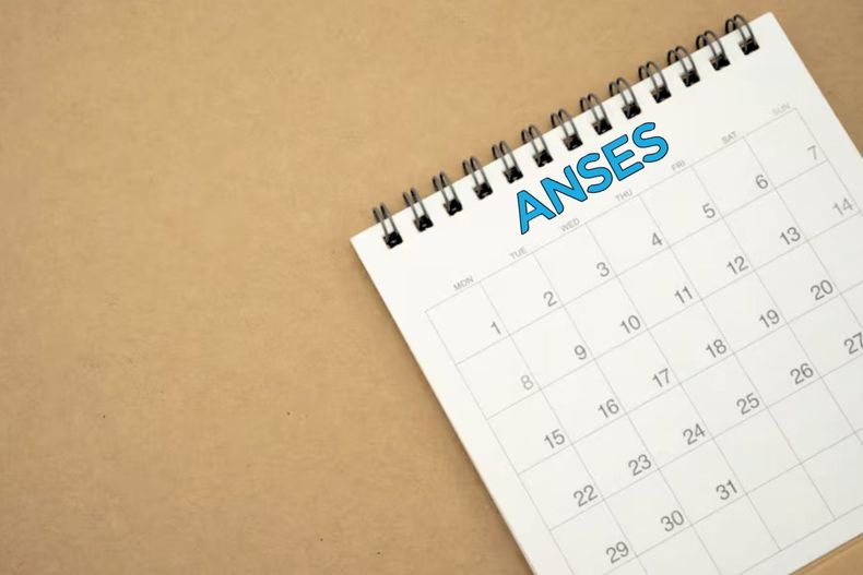 ANSES: conocé el calendario completo de pagos para junio 2025