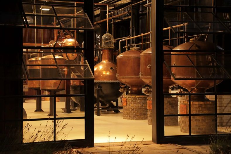 Destilados en tierras de vino, un proyecto que crece