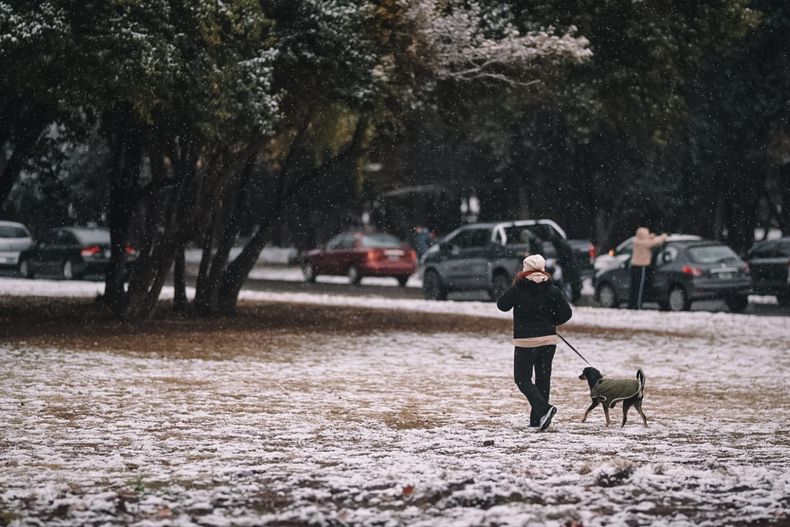 Fotos y videos: la nieve y el frío, protagonistas de un domingo inusual ...
