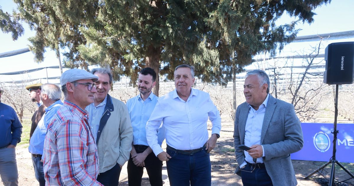 Alfredo Cornejo anunció obras en San Rafael para mejorar el riego en ...