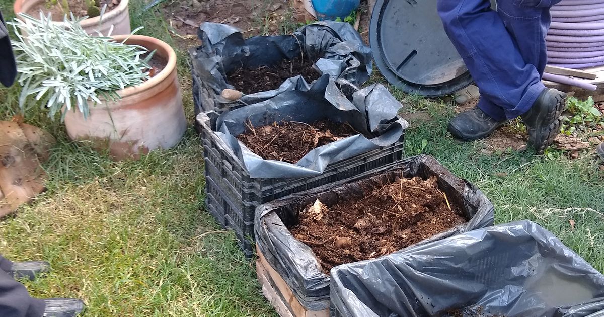 Día de la Tierra: el aporte que podemos hacer a través de compostaje