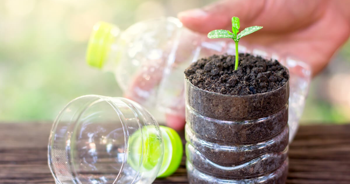 Jardinería: los asombrosos usos que le podés dar a una botella de plástico