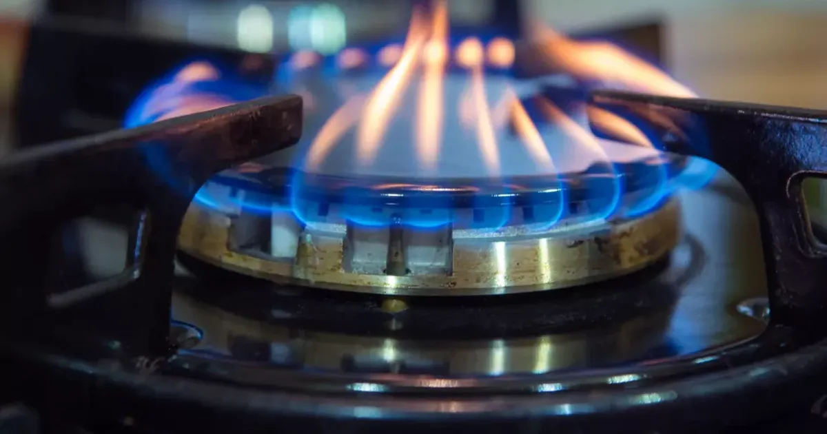 Gina lisa lohfink leak porn doing it doggy was the second