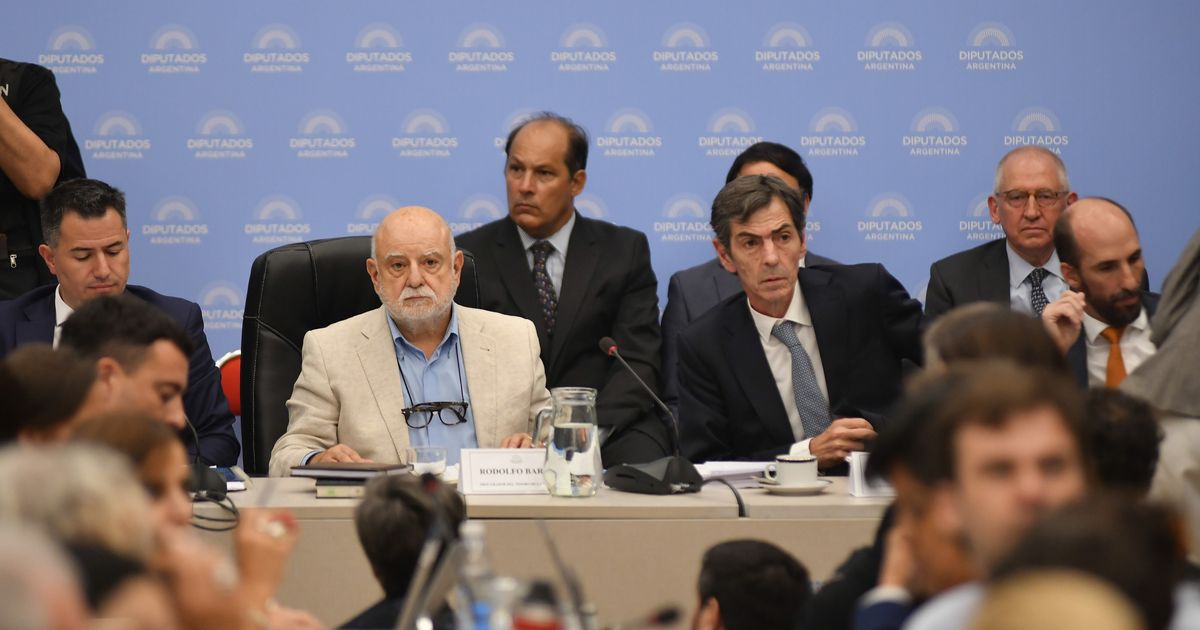 El Gobierno defiende la ley ómnibus: No es un cheque en blanco ni ...