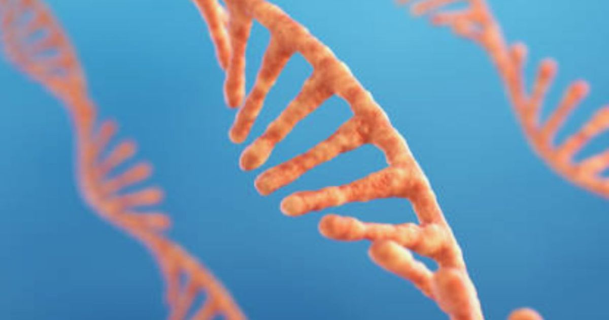 Día Mundial del ARN: por qué se celebra hoy, 1 de agosto