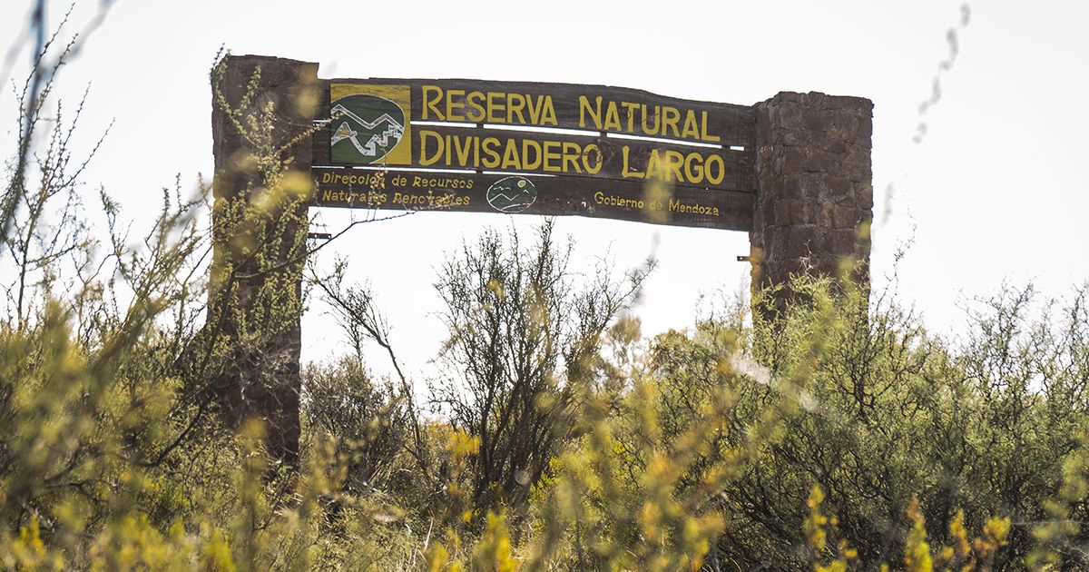 Relatos Nocturnos en Divisadero Largo el 10 de febrero
