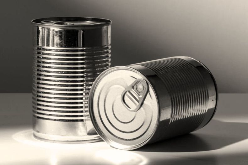 Reciclá las latas viejas y dale vida a este objeto que decorará de ...