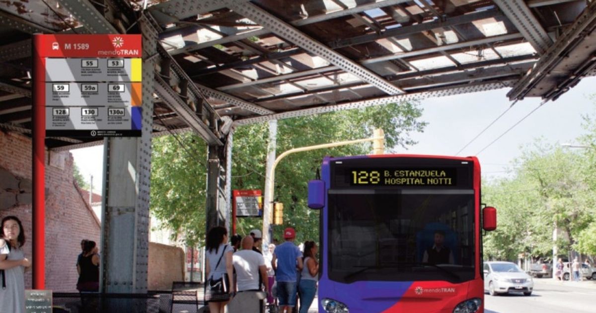Nuevo sistema de transporte: adjudicaron los recorridos de los colectivos