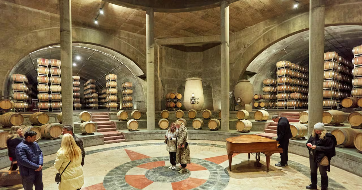 El turismo del vino se afianza como otro motor económico de la ...