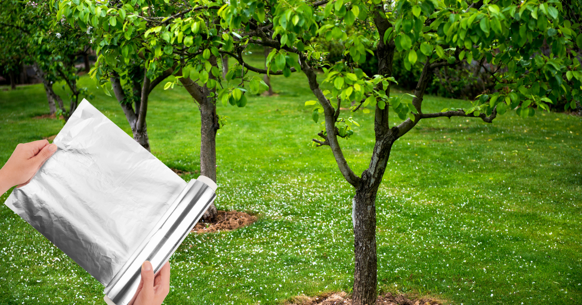 Para qué sirve poner tiras de papel aluminio en un árbol