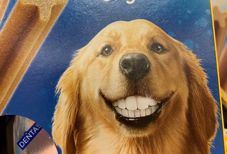 Fotos de diseños que te harán tener pesadillas