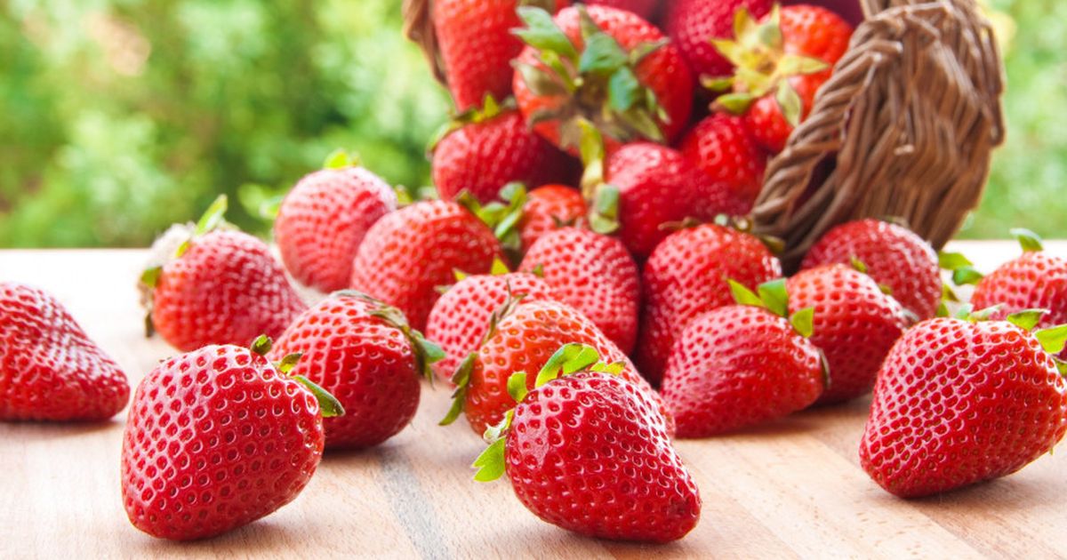 Con la primavera llegó la época de la frutilla, la fruta más deliciosa ...