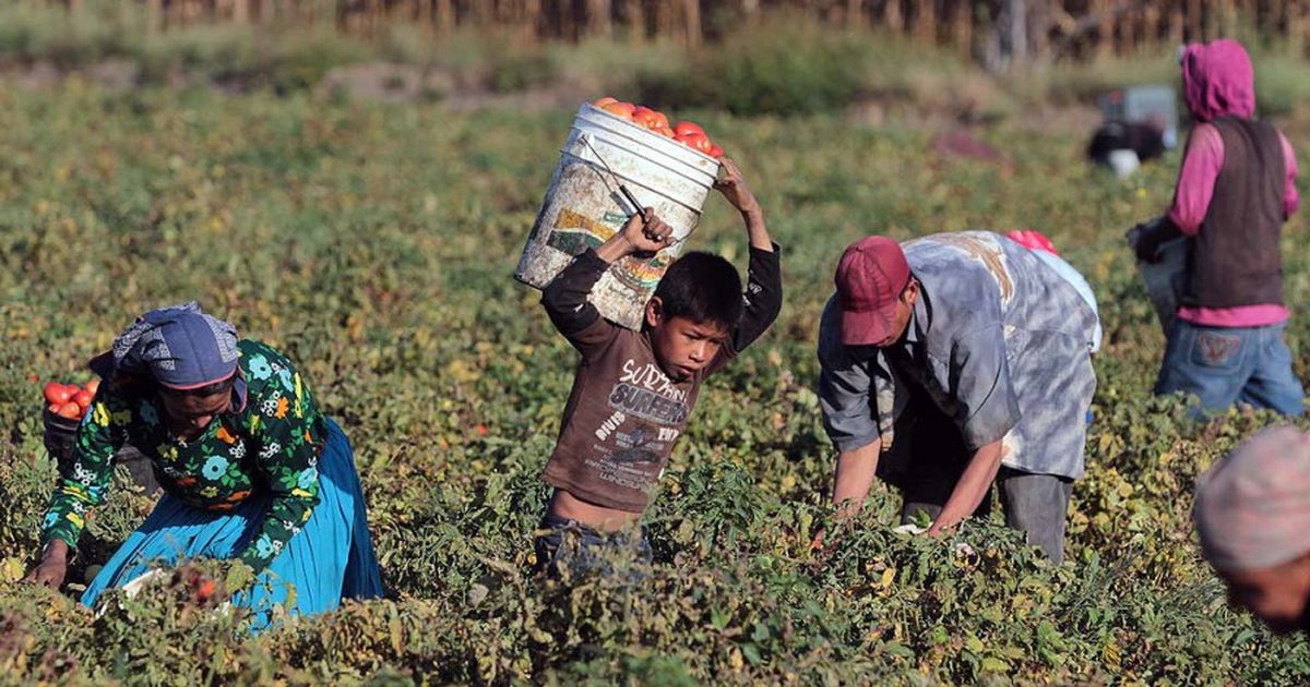 Trabajo infantil: la situación en Mendoza y en Cuyo