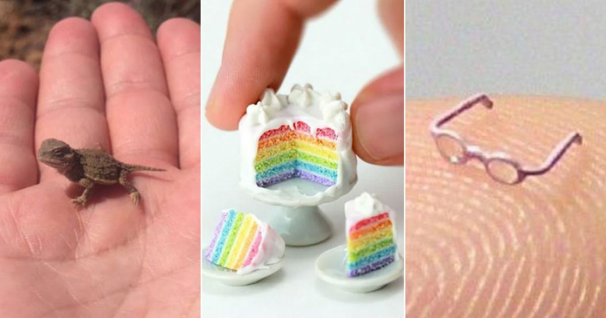 Objetos diminutos que no pueden ser más adorables