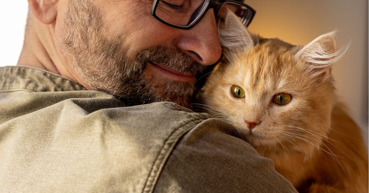Así es cómo los gatos eligen a su humano favorito