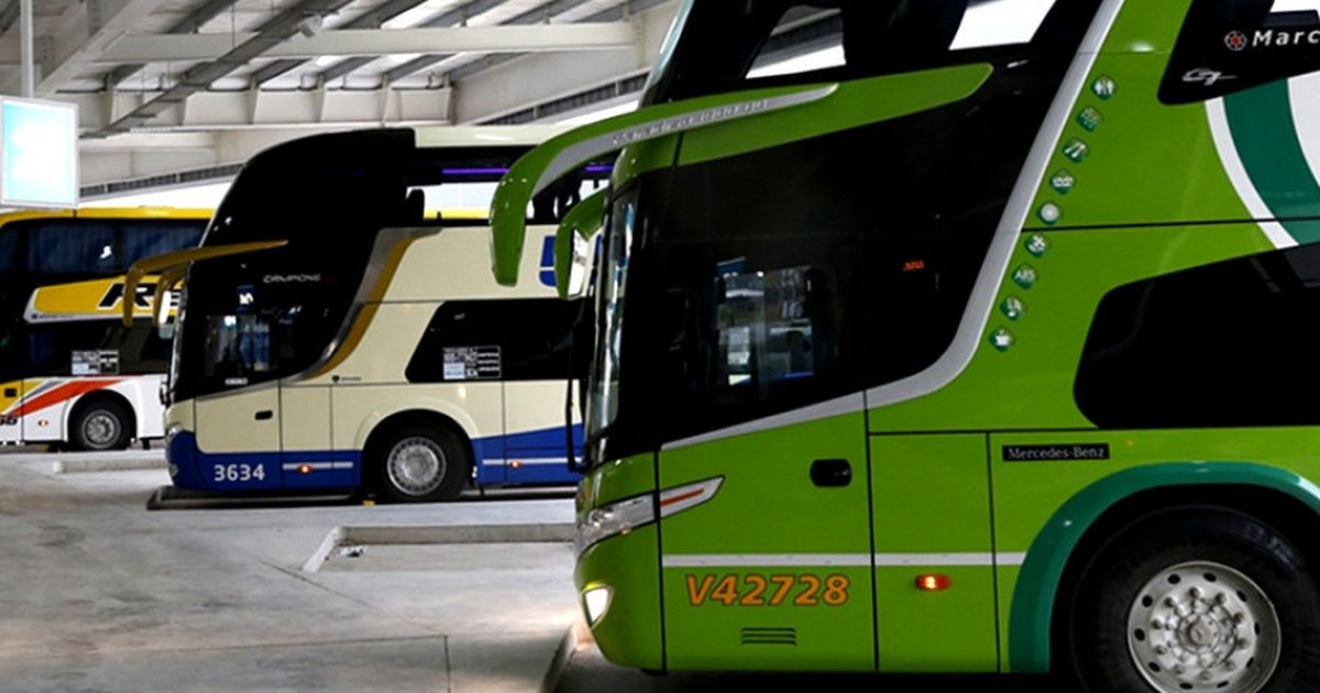 Habilitan la entrada de micros internacionales