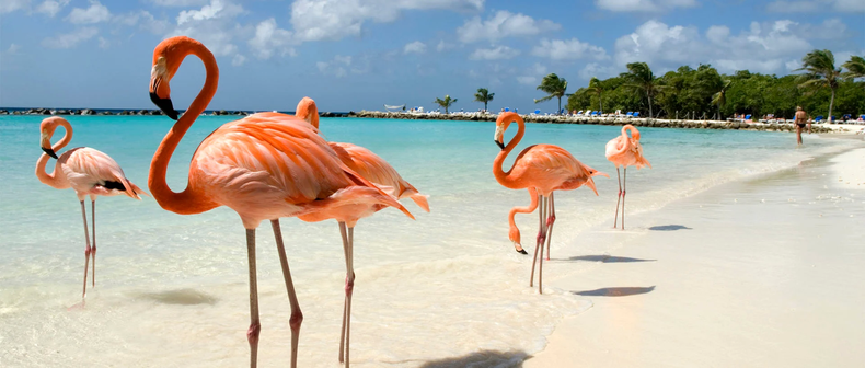 Turismo: dónde queda Aruba