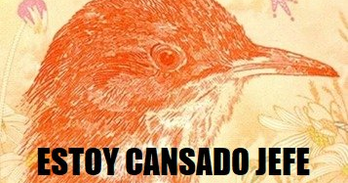 El dólar blue superó los $1000: los mejores memes ante la corrida cambiaria