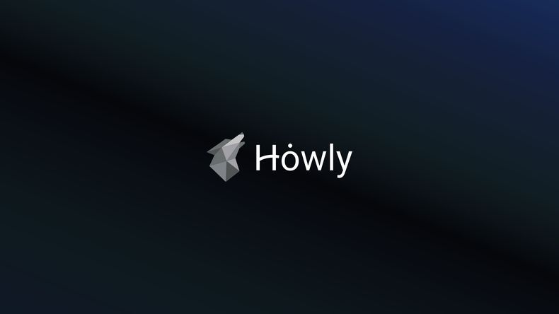 Hȯwly: la novedosa red social que fue desarrollada en Mendoza