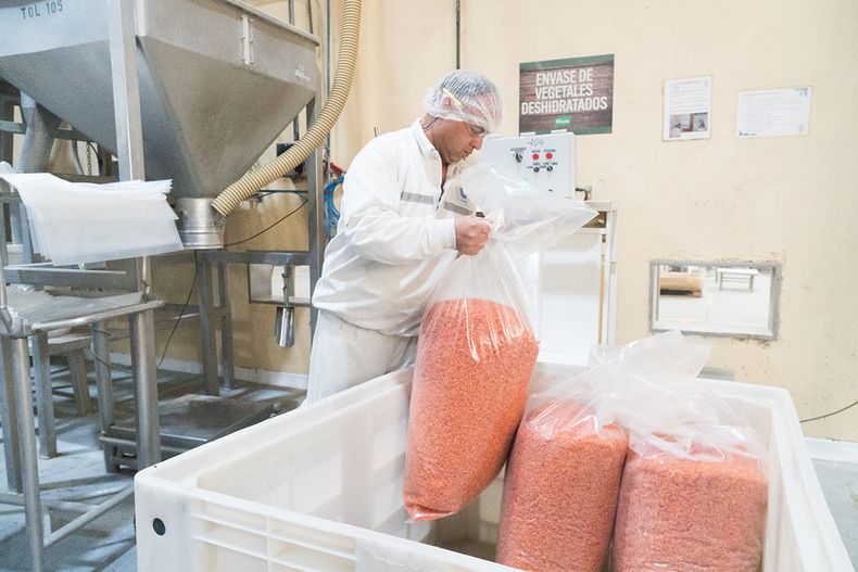 Cómo es la planta que desde Mendoza provee alimentos al mundo