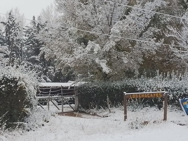 Impresionante nevada en el Manzano Histórico: las mejores fotos y videos