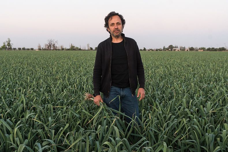 Cómo es la planta que desde Mendoza provee alimentos al mundo