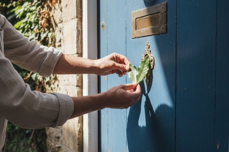Qué pasa si pongo hojas de laurel en la puerta de casa y por qué muchas ...