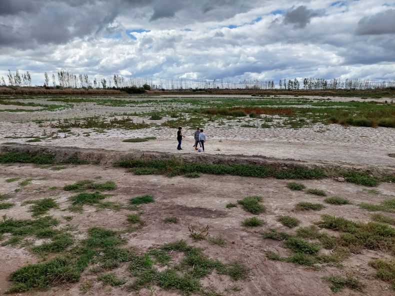 Laguna del Viboron: un humedal en Mendoza que está seco