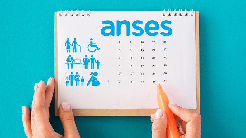 ANSES: conocé el calendario completo de pagos para noviembre 2024