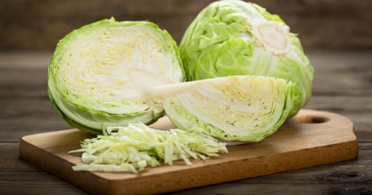Época de repollo: la verdura ideal para los cambios de tiempo y dietas