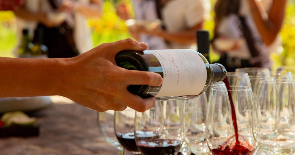 Descubrí la Gran Feria del Vino en la Estación Gutiérrez