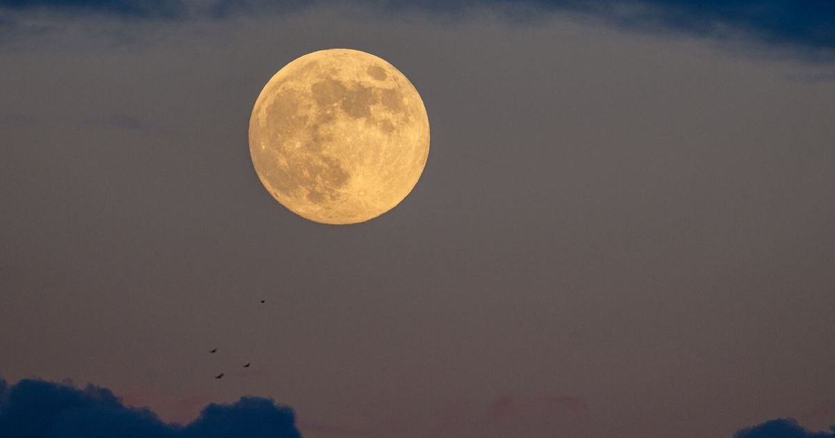 El misterio de la Luna llena: mitos y verdades
