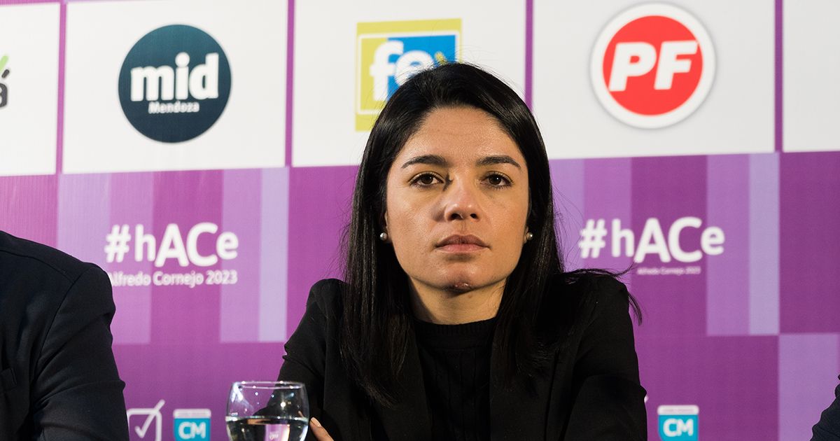 El PRO mendocino en llamas contra la UCR por declararse neutral frente ...