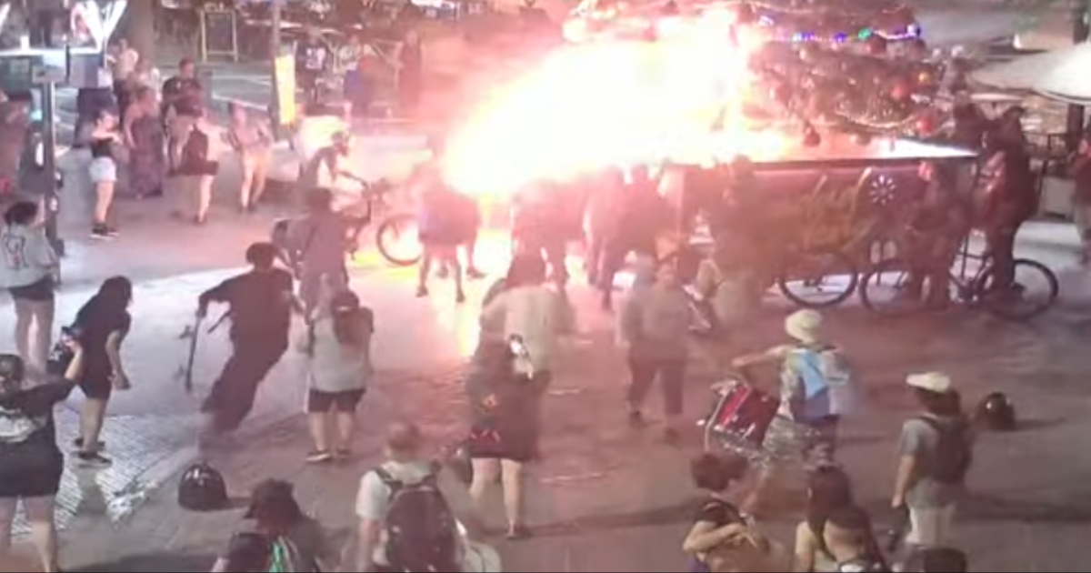 Mercedes Rus y Ulpiano Suarez repudiaron el incendio del árbol de ...