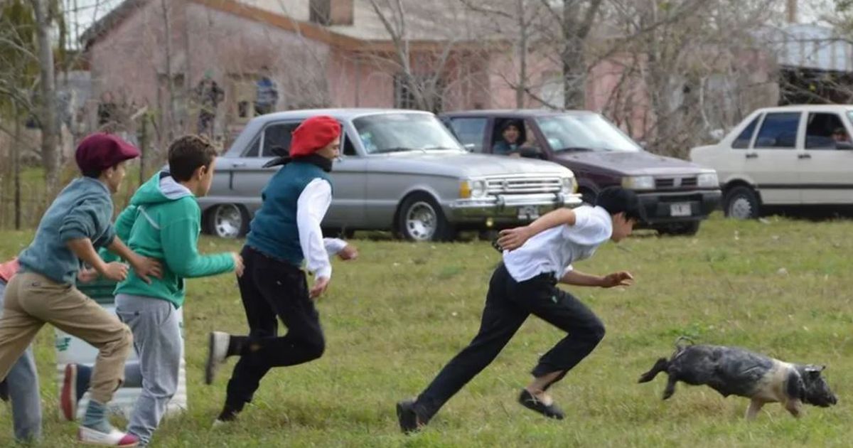 Qué dice la Ley 14.346 sobre el chancho enjabonado?