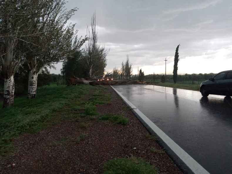 Rigen nuevas alertas por tormentas y granizo en gran parte de la provincia